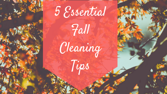Tips for Cleaning this Fall | 5 Essential Tips for Cleaning this Fall!